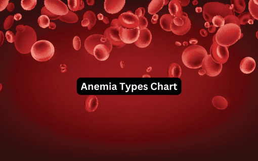 Understanding Anemia: Types & Charts